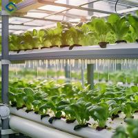 China Agricultural NFT Vertical Growing Greenhouse Soilless Greenhouse Multi Span for sale