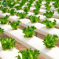 China Steel Frame Smart Hydroponic Greenhouse For Tomato Strawberry Planting for sale