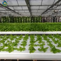 China Substrate Cultivation Outdoor Hydroponics Greenhouse Weather Resistance for sale