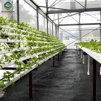 China Weather Resistance Hydroponic System Greenhouse Multispan For Planting for sale