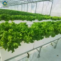 China High Production Automated Hydroponic Greenhouse Large Glass Greenhouses for sale