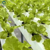 China Customization Hydroponic System Greenhouse With Rolling Benches for sale