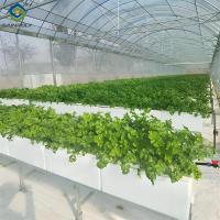 China Strong Ventilation Plastic Film Greenhouse With Hydroponic Growing System for sale