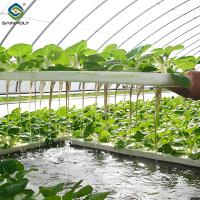 China Customizable Agricultural Greenhouses Aeroponics Lettuce Hydroponics System for sale