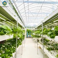 China Soilless Culture Tomato Greenhouse With Nft Hydroponic System for sale