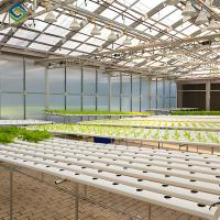 China OEM Agricultural Hydroponic Green House With Top And Side Window Ventilation for sale