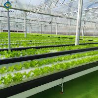 China High Yield Large Vertical Hydroponic Greenhouse Soilless Cultivation for sale