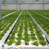 China Vegetable Fruits Growing Farm Hydroponic Greenhouse Vertical / Horizontal NFT for sale