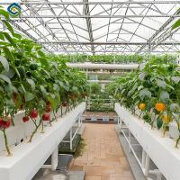 China Vegetable Fruits Growing Farm Hydroponic Greenhouse Vertical / Horizontal NFT for sale