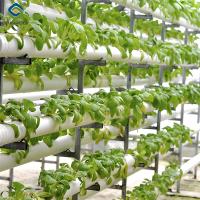 China Vegetable Fruits Growing Farm Hydroponic Greenhouse Vertical / Horizontal NFT for sale
