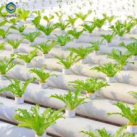 China Soilless Culture Tomato Greenhouse With Nft Hydroponic System for sale