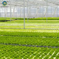 China SAINPOLY Agriculture Greenhouse Hydroponics Greenhouse Steel Frame Weather Proof for sale