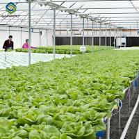China High Yield Large Vertical Hydroponic Greenhouse Soilless Cultivation for sale