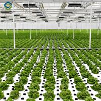 China High Yield Large Vertical Hydroponic Greenhouse Soilless Cultivation for sale