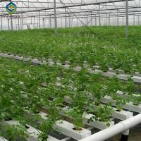 China Agricultural Multispan Greenhouse Complete Hydroponic Nft Greenhouse for sale