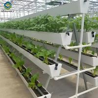 China Food Grade PVC Pipe NFT Channel Hydroponic Greenhouse Eco Friendly for sale