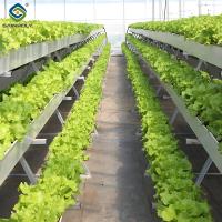 China Weather Resistance Hydroponic System Greenhouse Multispan For Planting for sale