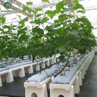 China Substrate Cultivation Outdoor Hydroponics Greenhouse Weather Resistance for sale