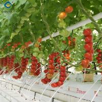 China Custom Tomato Greenhouse with Drip Irrigation and LED Grow Lights for sale