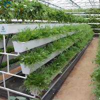 China Weather Resistance Hydroponic System Greenhouse Multispan For Planting for sale