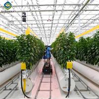 China High Production Automated Hydroponic Greenhouse Large Glass Greenhouses for sale