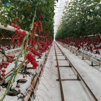 China Steel Frame Smart Hydroponic Greenhouse For Tomato Strawberry Planting for sale
