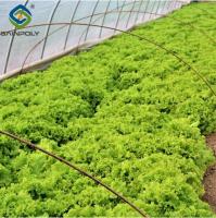China Commercial Lettuce Greenhouse Low Maintenance Weather Resistant for sale