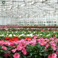 China Flower Farm Greenhouse With Galvanized Steel Space Grid Frame Automated Electric Systems for sale