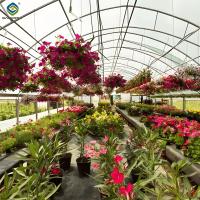 China Easy Assembly Glass Type Flower Greenhouses With Hydroponic Growing System for sale