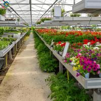 China Glass Film Polycarbonate Greenhouse Flower Greenhouse With Intelligent Systems for sale