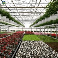 China Glass Film Polycarbonate Greenhouse Flower Greenhouse With Intelligent Systems for sale