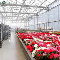 China Customized Flower Green House Easy Assembly Plant Greenhouses for sale