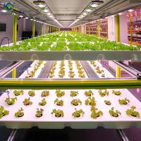 China Customized Size Lettuce Green House Easy Installation With Sliding / Swing Door for sale