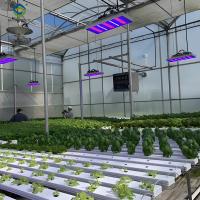 China Customized Size Lettuce Green House Easy Installation With Sliding / Swing Door for sale