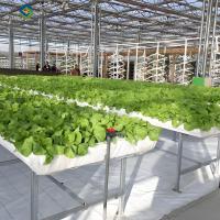 China Vertical Lettuce Greenhouse PC Sheet Greenhouse With Hydroponic System for sale