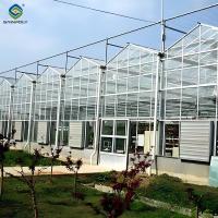 China High Yield Agricultural Lettuce Greenhouse With Intelligent Control System for sale
