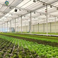 China Large Size Commercial Lettuce Greenhouse With Hydroponic Growing Systems for sale
