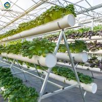 China Large Size Commercial Lettuce Greenhouse With Hydroponic Growing Systems for sale