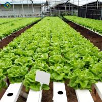China Lettuce Planting Hydroponic Farming Greenhouse Food Grade PVC NFT System for sale