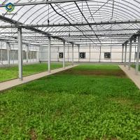 China Customization Commercial Plastic Film Greenhouse For Lettuce Planting for sale