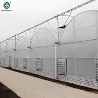 China Galvanized Steel Frame Large Economical Plastic Film Greenhouse For Optimal Growth for sale