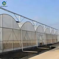China Polycarbonate Covering Multispan Greenhouse Tomato Growing Greenhouse CE for sale