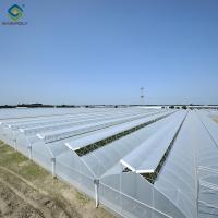 China Customizable Multi Span Greenhouse For Tomato Plants Growing for sale