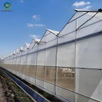 China Easy To Assemble Multi Span Greenhouse For Growing Vegetables And Flowers for sale