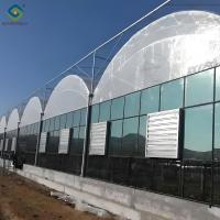 China Hydroponic Glass / Pc Sheet Greenhouse With Tomato Growing System Large for sale