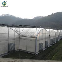 China Customizable Multi Span Greenhouse For Tomato Plants Growing for sale