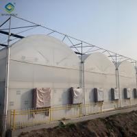 China Customizable Multi Span Greenhouse For Tomato Plants Growing for sale