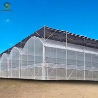 China Practical Large Industrial Sized Greenhouse 30-100m Length Stable Structure for sale