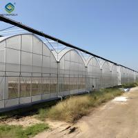 China Sainpoly Large Commercial Greenhouse With Hydroponic Growing System for sale