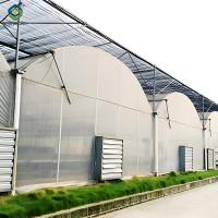 China Agricultural Multi Span Poly Film Greenhouse Stable Hydroponic Growing Systems for sale